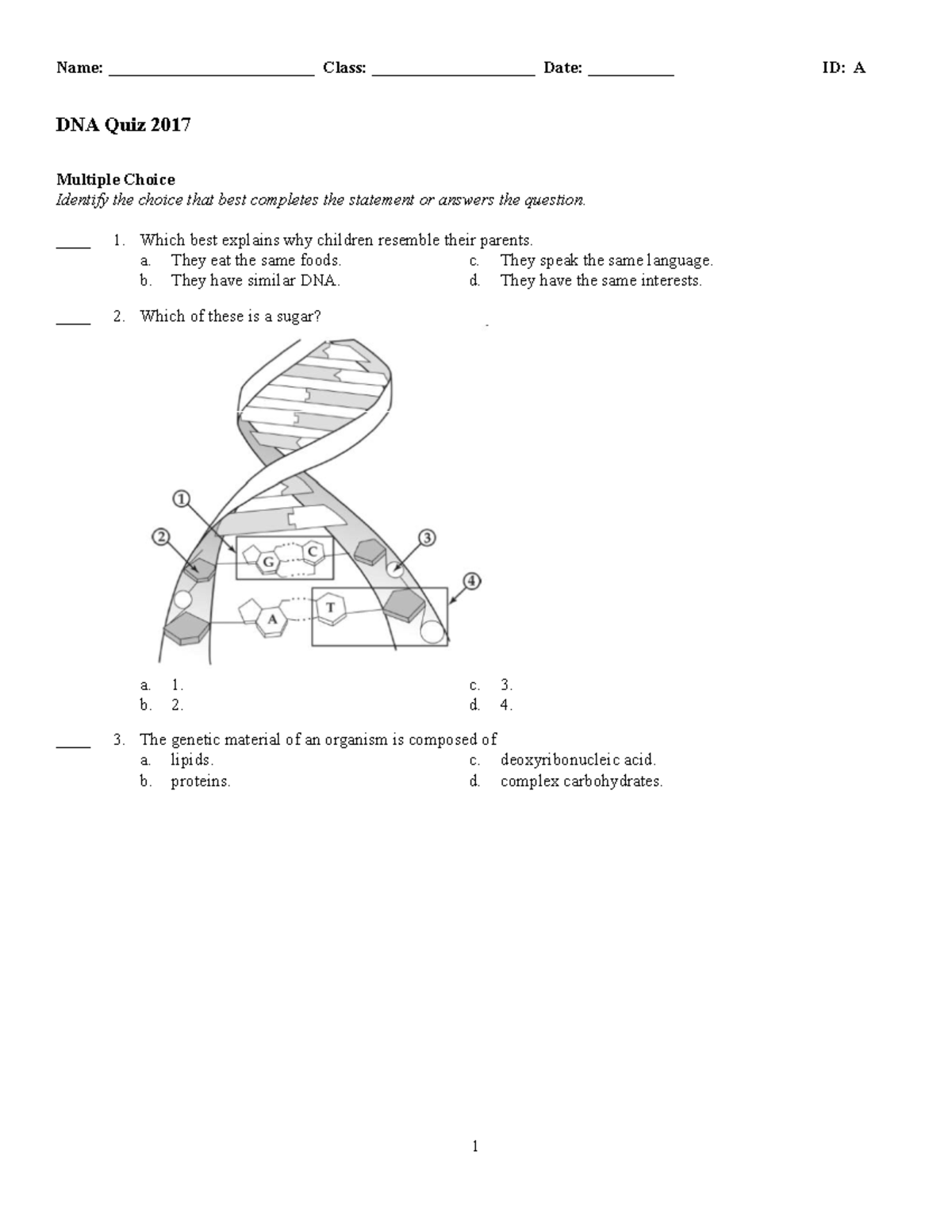AP BIOOO Chapter 12 DNA Quiz 2017: Multiple Choice Questions - Studocu