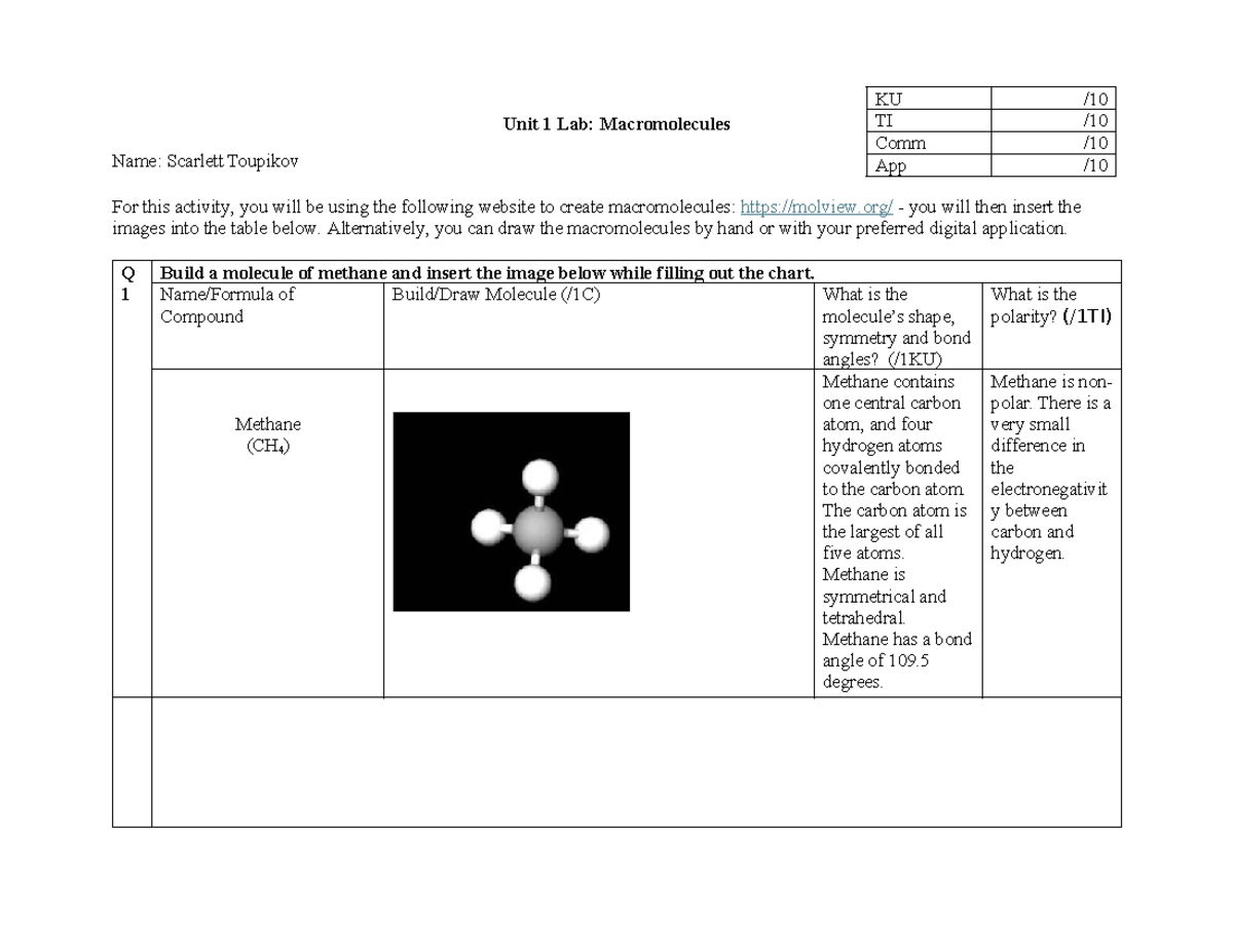 Unit 1 Lab: Macromolecules - Grade 12 Bio Exploration - Studocu