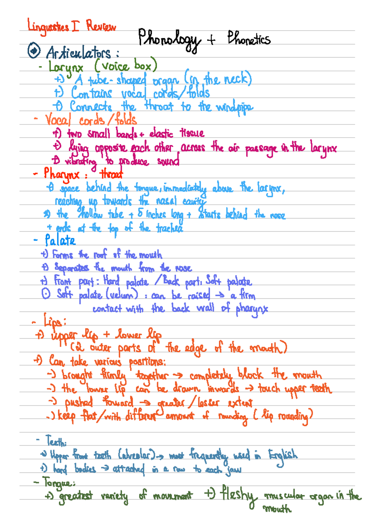 Phonetics & Phonology Review: Articulators and Sound Production - Studocu
