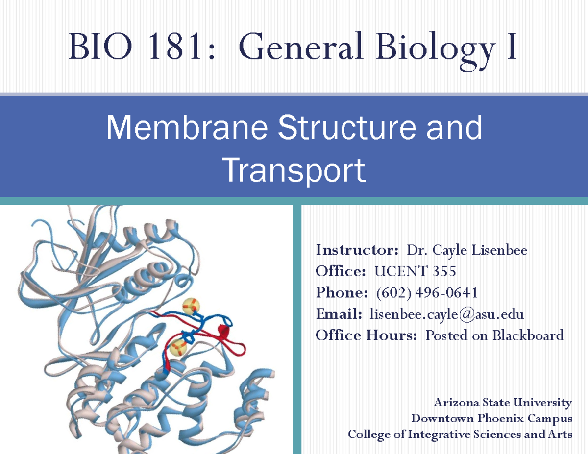 BIO 181: General Biology I - Membrane Structure & Transport Notes - Studocu