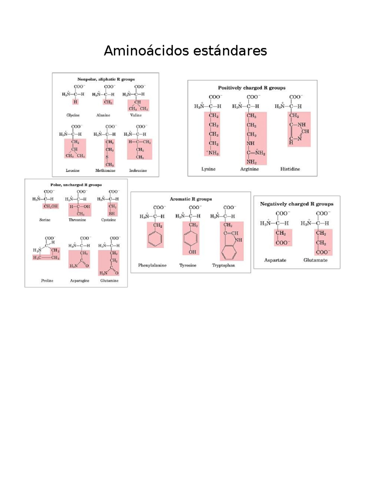 Aminoácidos estándares - Aminoácidos estándares Nonpolar, aliphatic R ...