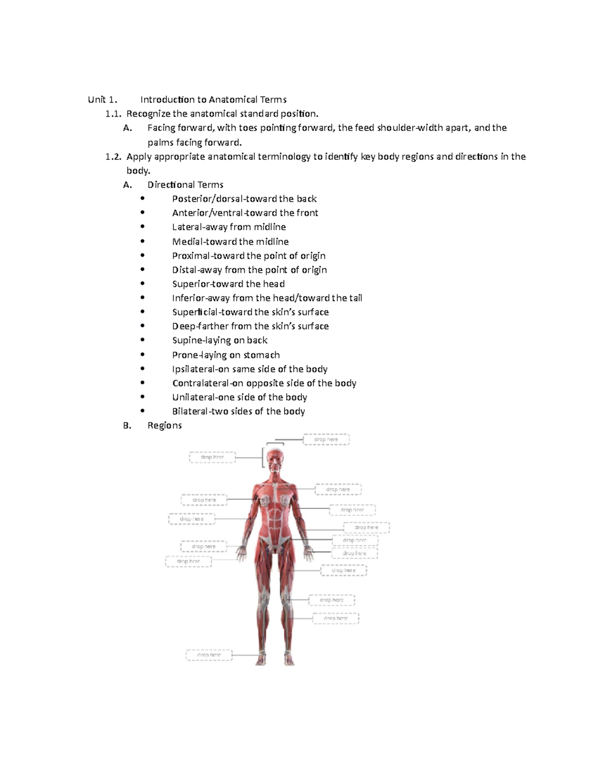 USLOs - Learning Outcomes for Exam 1 in Human Anatomy & Physiology ...