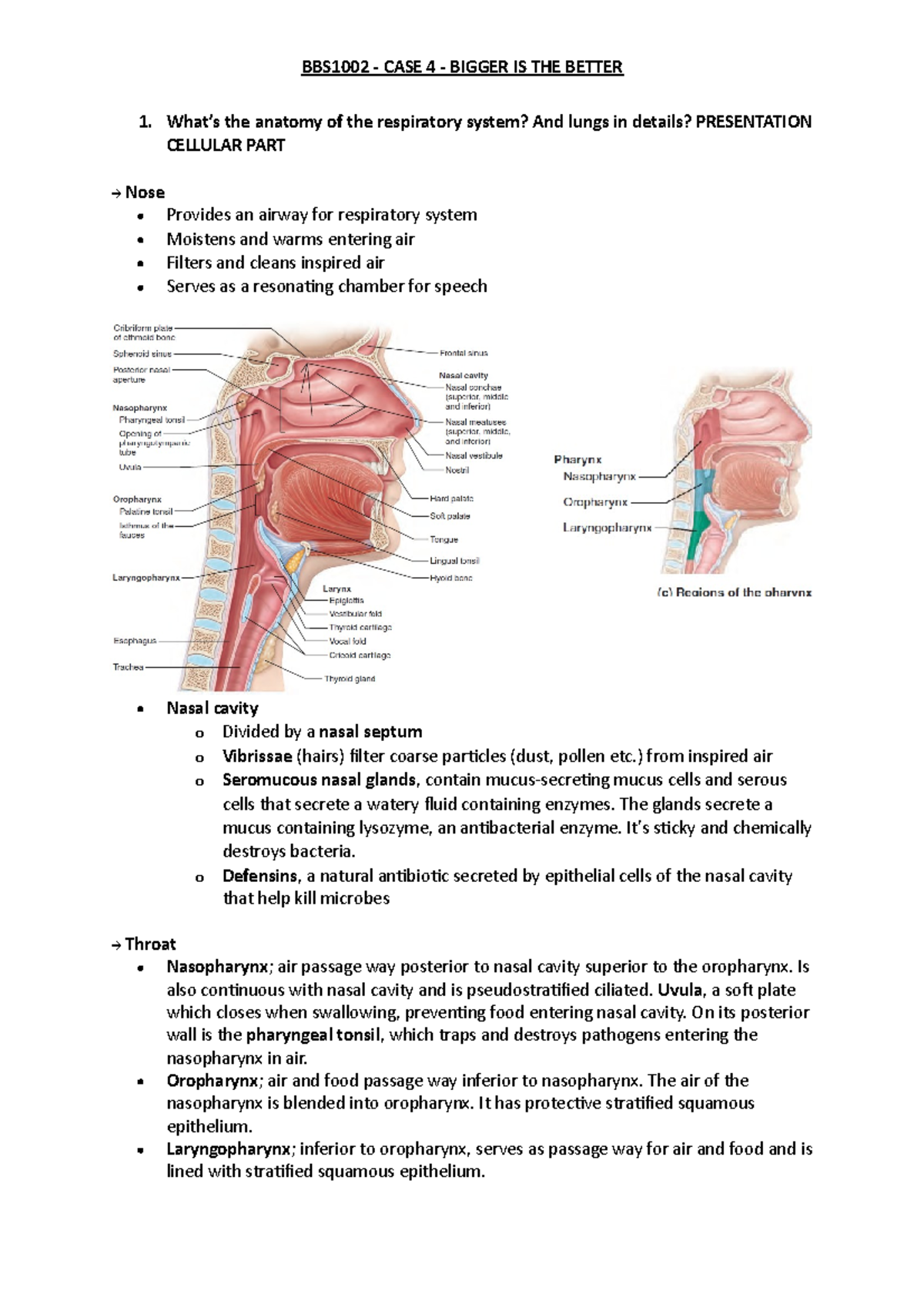 BBS1002 Midterm Case Study: Exploring Respiratory System Anatomy ...