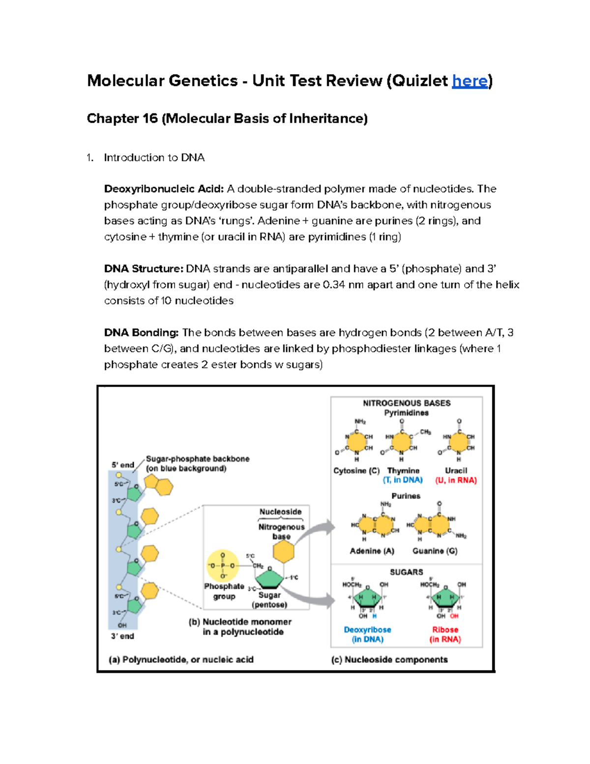 Molecular Genetics - Unit Test Review (Quizlet) Insights & Key Concepts ...