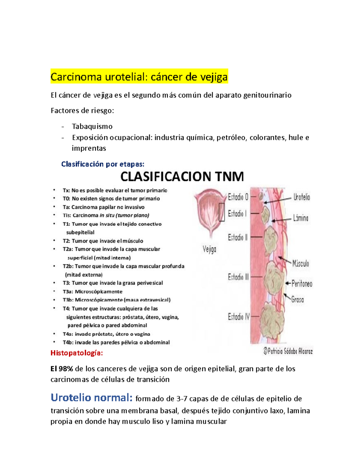 Ultrasonido Del Carcinoma De Células Transicionales