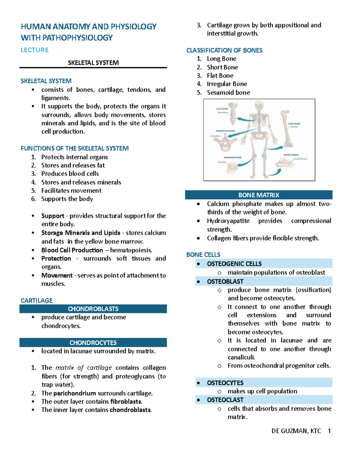 HAPPC 1P - Skeletal System Lecture Notes on Anatomy & Physiology - Studocu