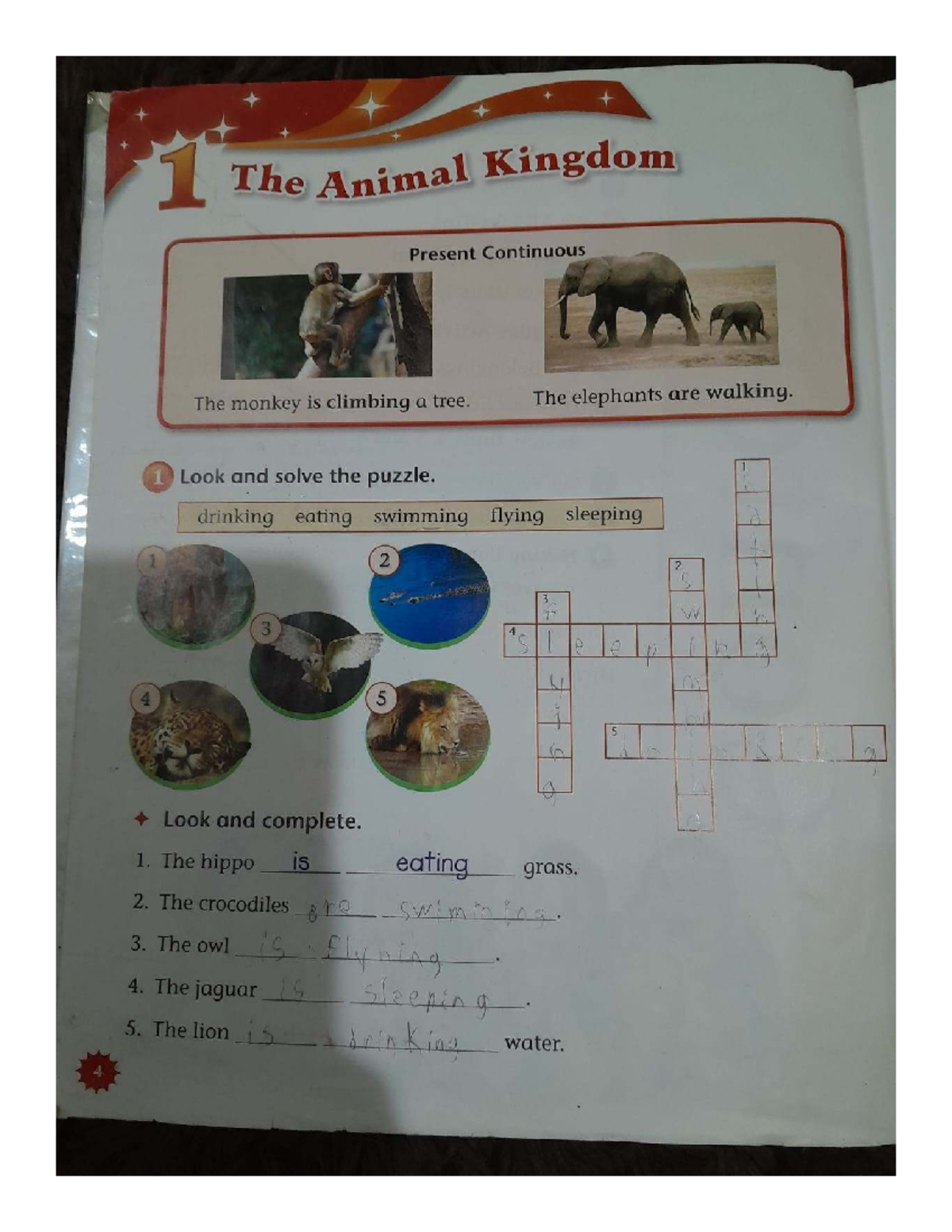 Grammar Book: Unit 1-3 Overview on Animals and Neighborhoods - Studocu