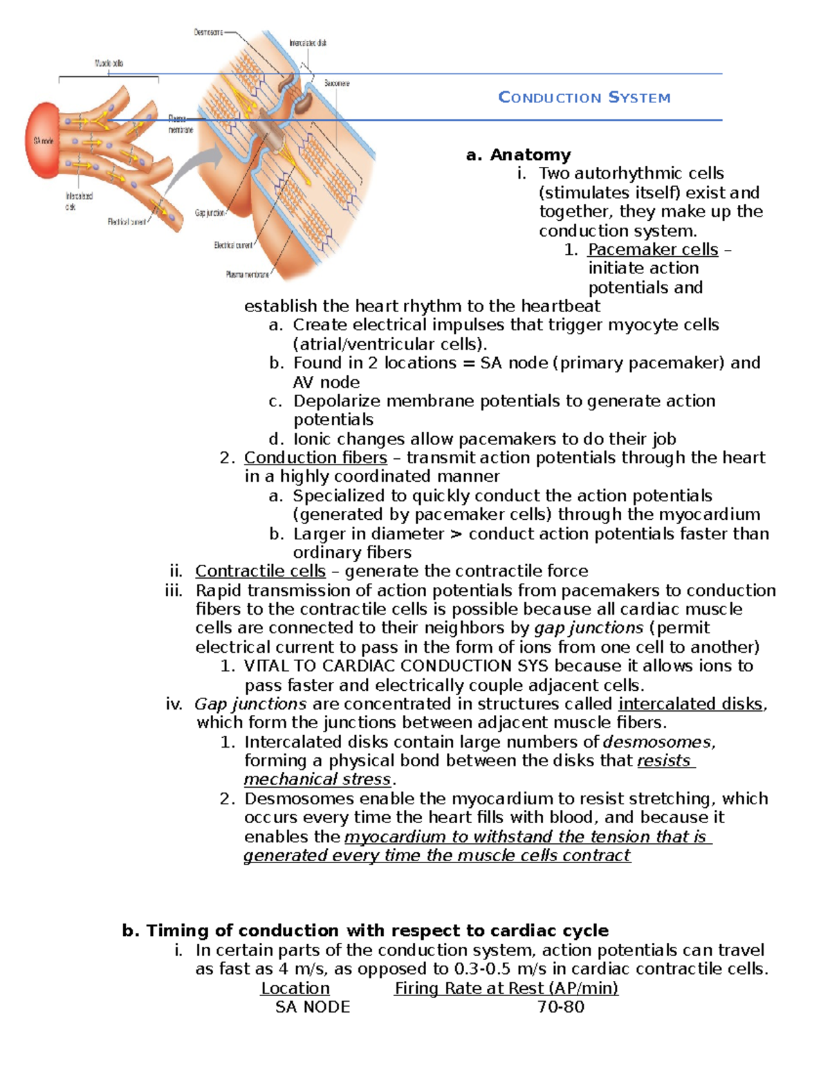 Cardiac Cycle & Conduction System Overview - Key Concepts and Factors ...