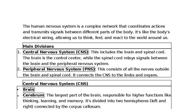 CNS & PNS Overview: Structure & Functions of the Nervous System - Studocu