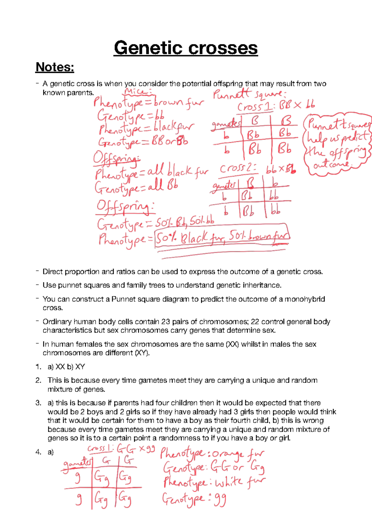 Genetic Crosses Notes: Understanding Inheritance Patterns - Studocu