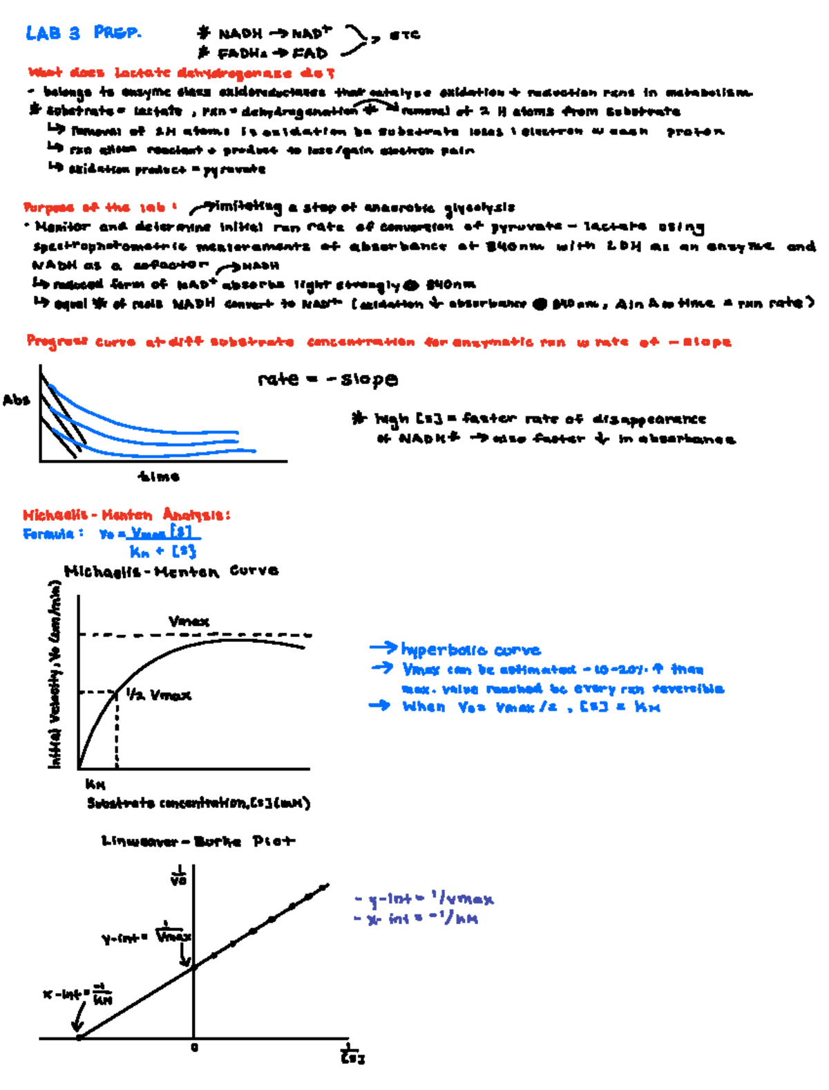 Biochem 301 - Lab 3 Quiz Prep: NADH and Lactate Reactions - Studocu