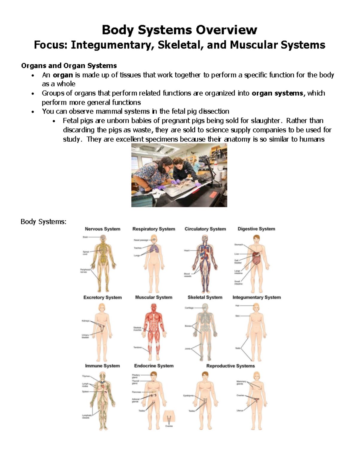 Body Systems Overview: Integumentary, Skeletal & Muscular Systems ...
