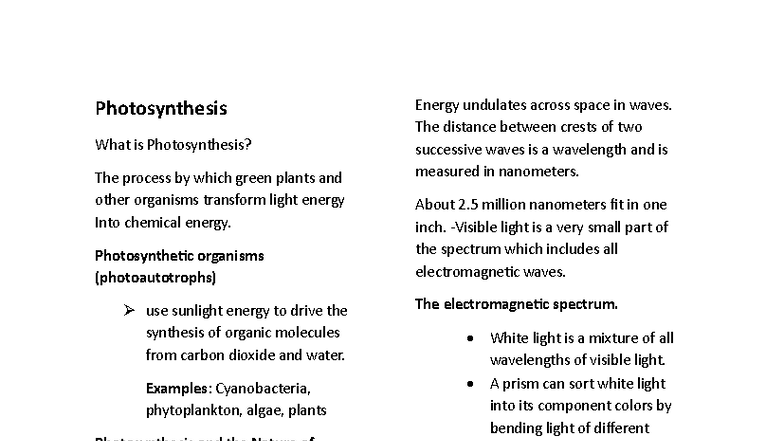 Botany 101: Photosynthesis Overview and Key Processes - Studocu