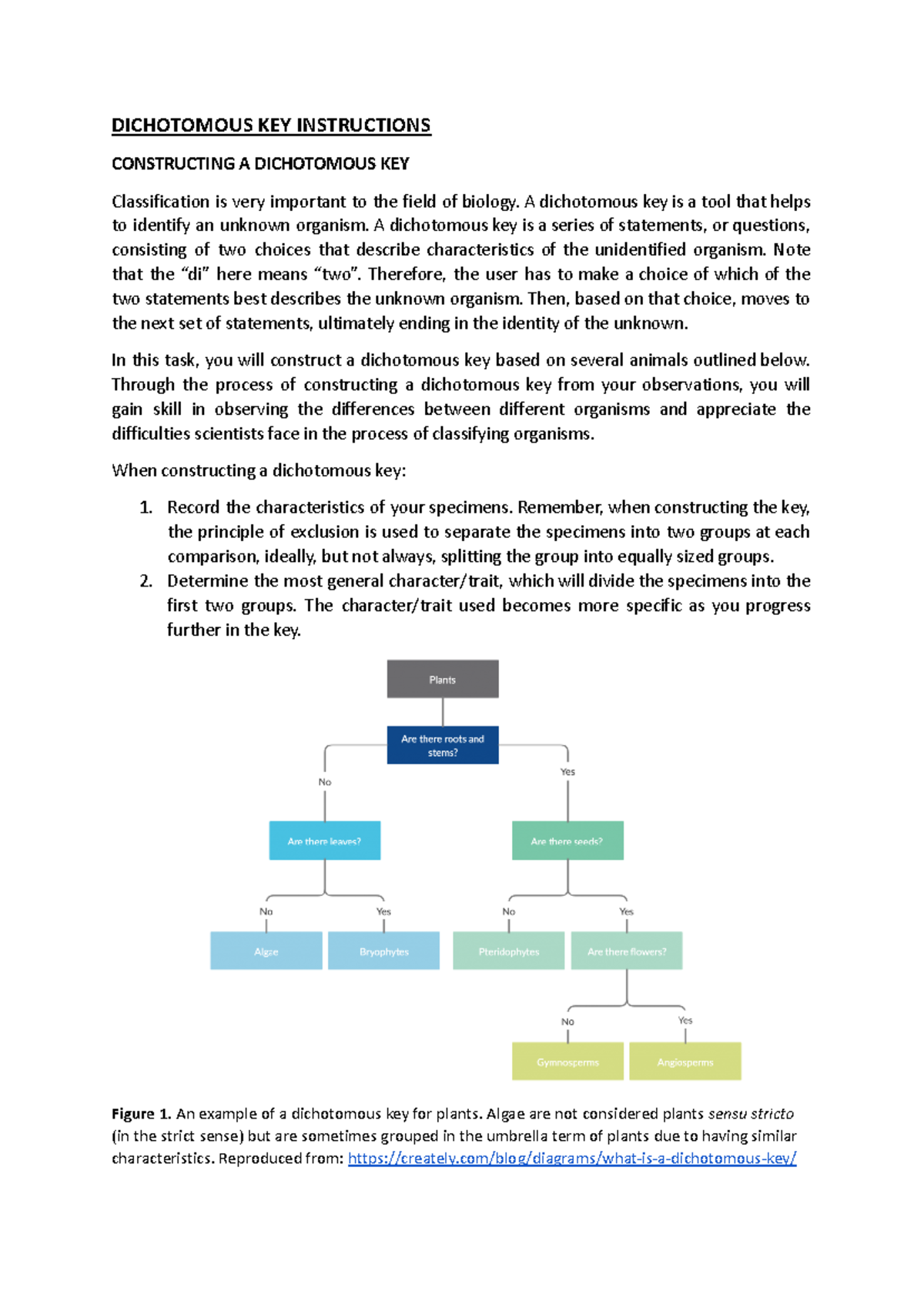 Dichotomous Key Construction Guide for Biology Lab Project - Studocu