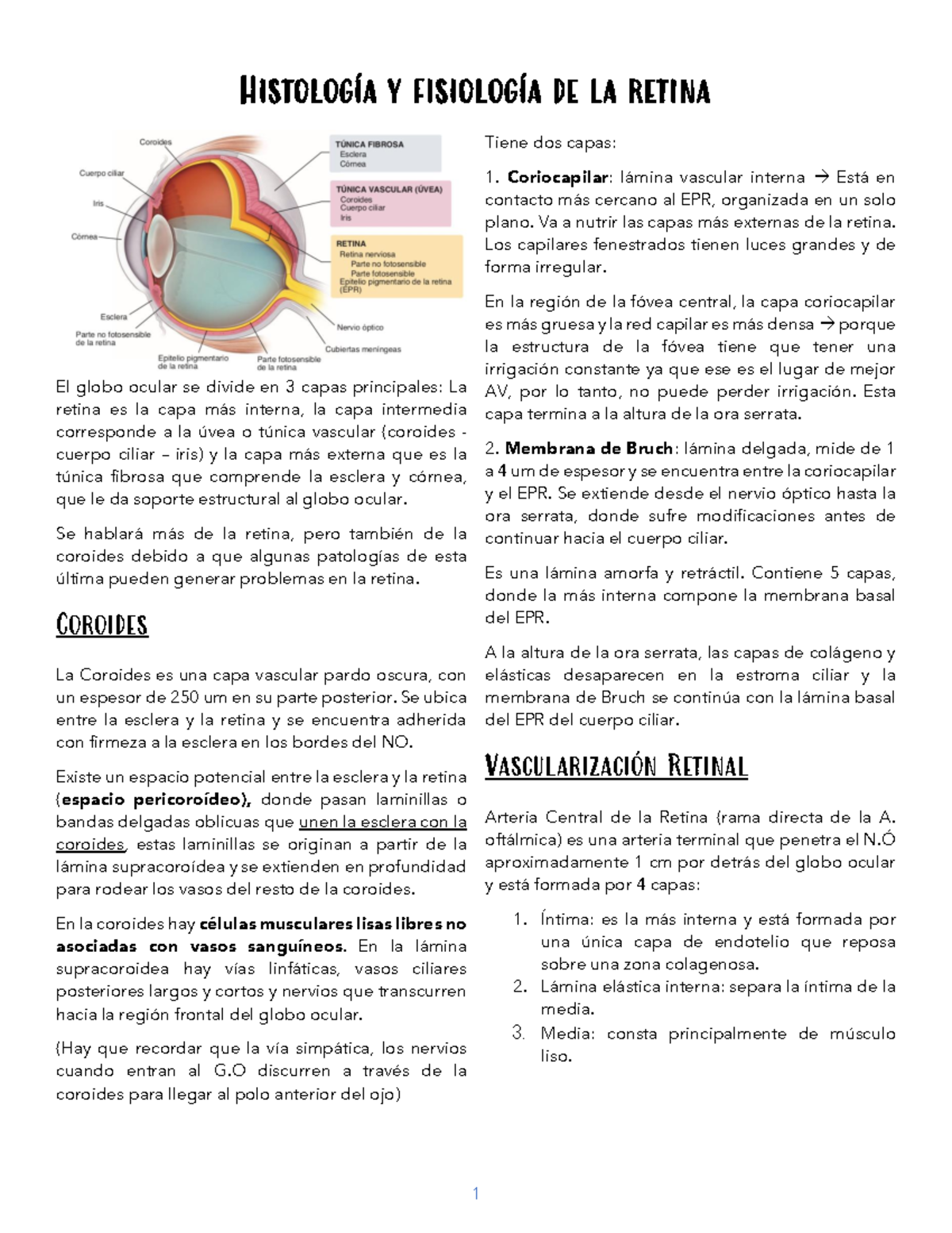 1. Histología y fisiología de la retina - El globo ocular se divide en ...