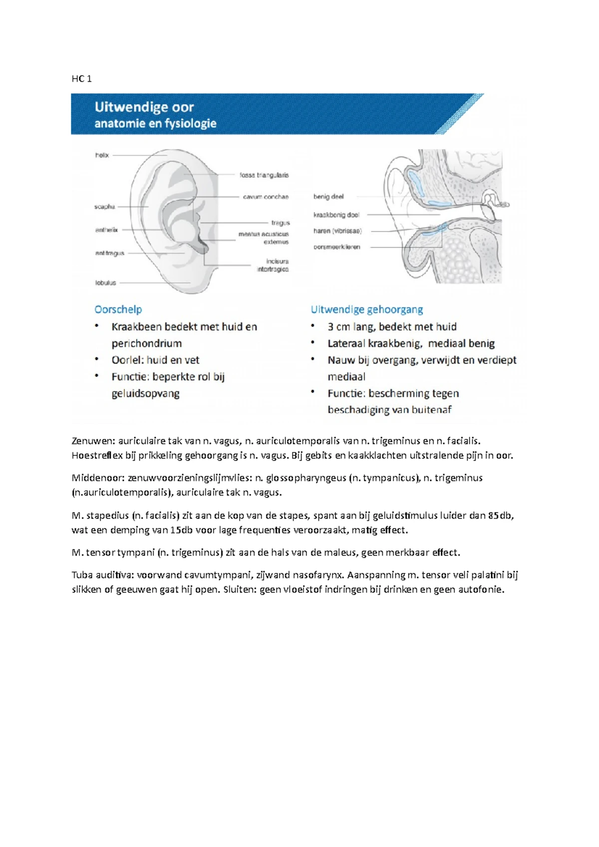 HC-Keel - Anatomie en Aandoeningen van de Keel en Mondholte - Studeersnel