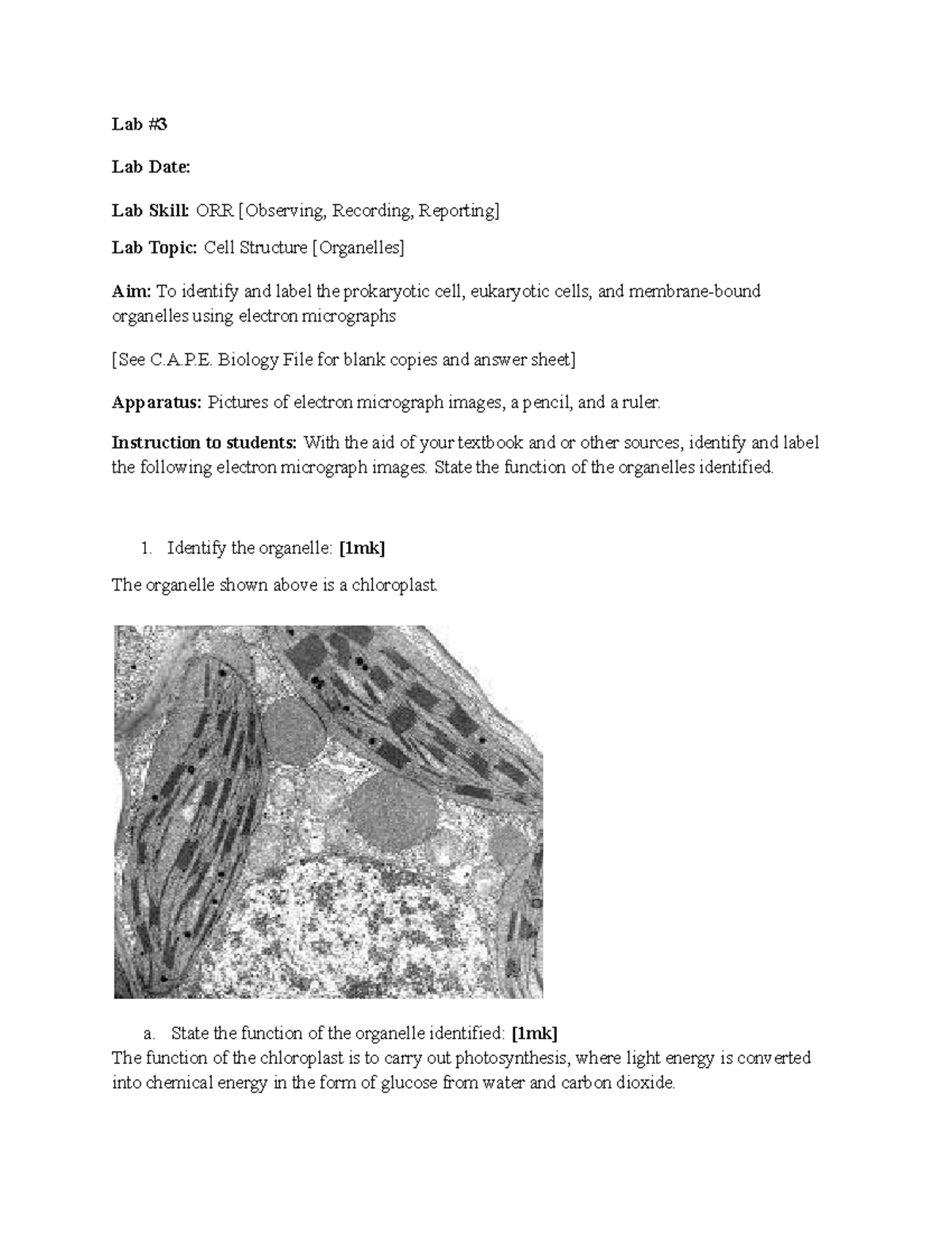 CAPE BIO Lab #3 - SBA: Identifying Cell Structures & Functions - Studocu