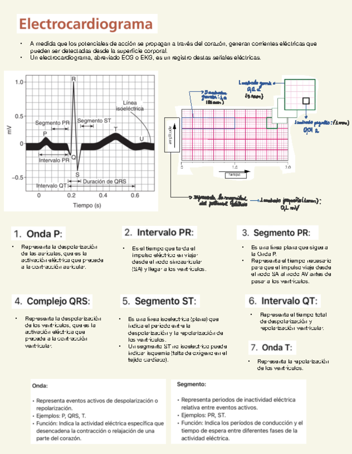 Apuntes de ECG - Comprensión del Electrocardiograma y su Interpretación ...