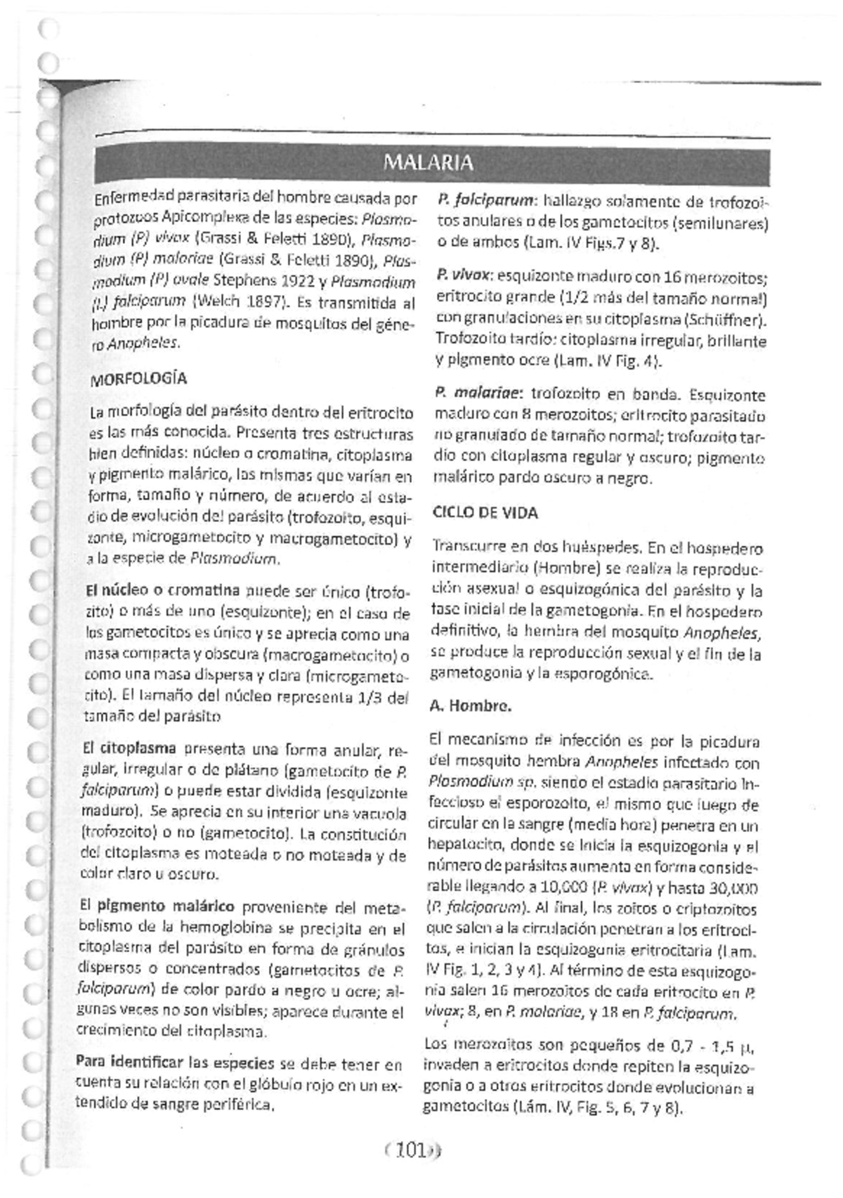 Malaria libro de cordova - MALARIA Enfermedad parasitaria del hombre ...