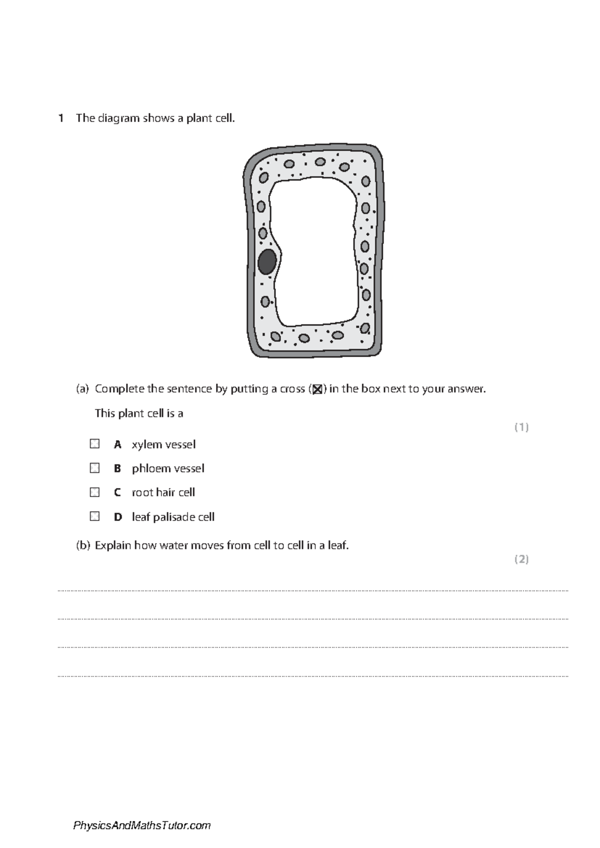 Transport in Plants QP: Understanding Water and Nutrient Movement - Studocu
