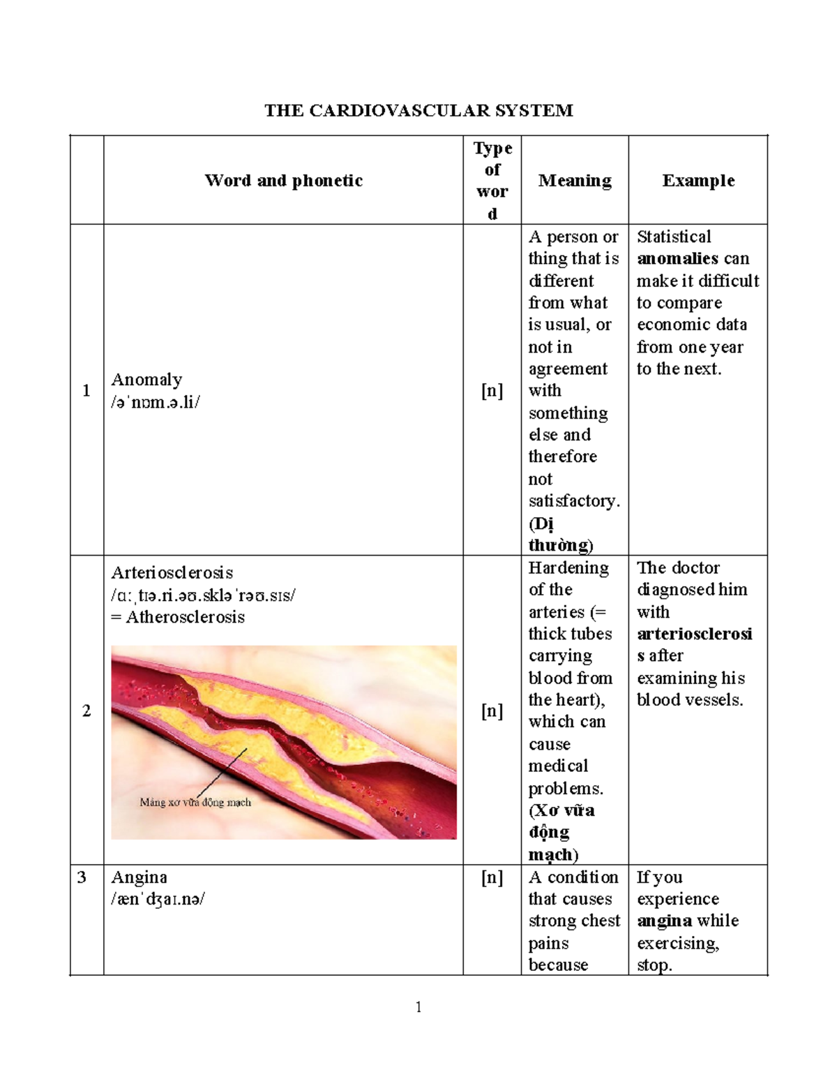Cardiovascular System Vocabulary and Definitions for Study - Studocu