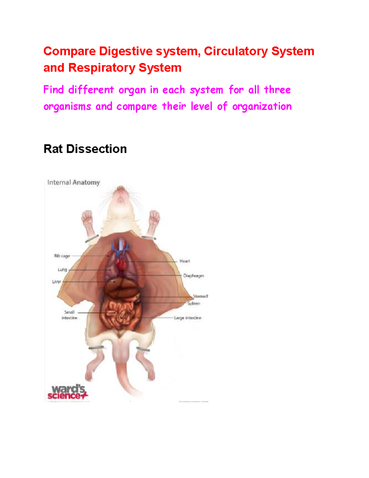 Tanmay Pandey - Rat, Crayfish and Earthworm - SPAN 012 - Compare ...