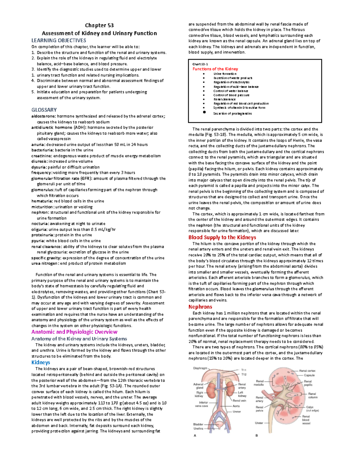 Chapter 53: Assessment of Kidney & Urinary Function Overview - Studocu