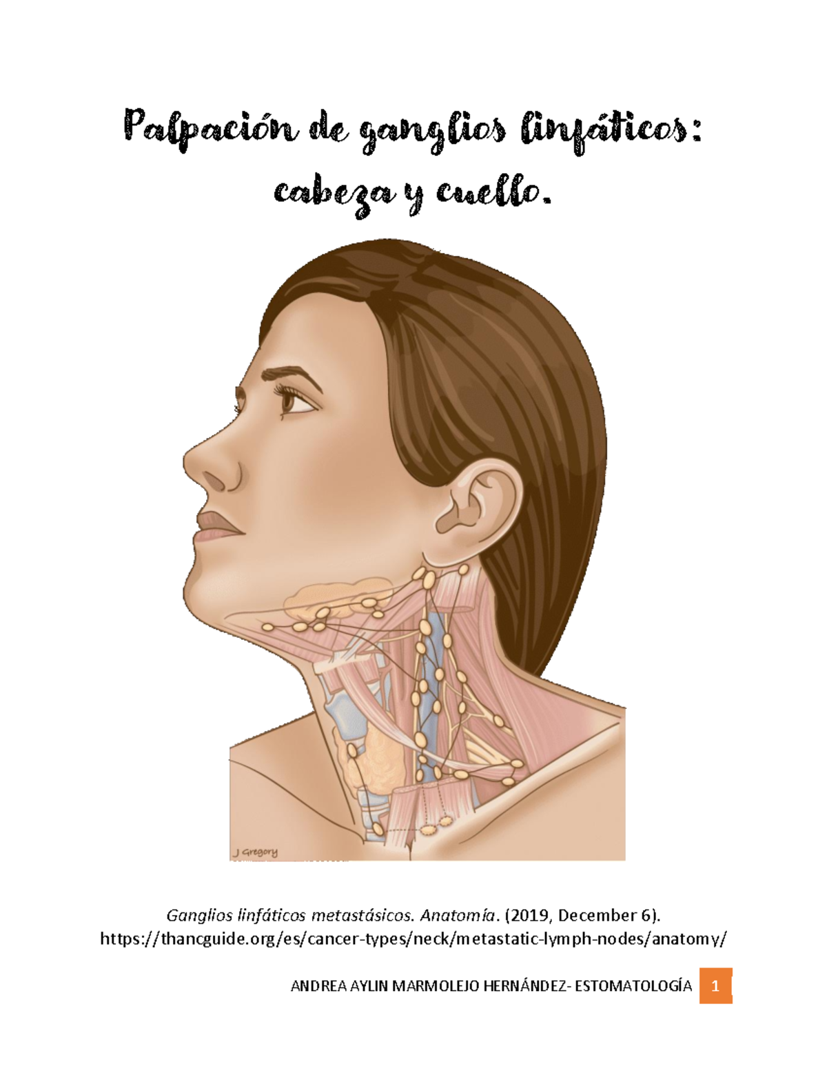 Palpación de ganglios linfáticos - Palpación de ganglios linfáticos ...
