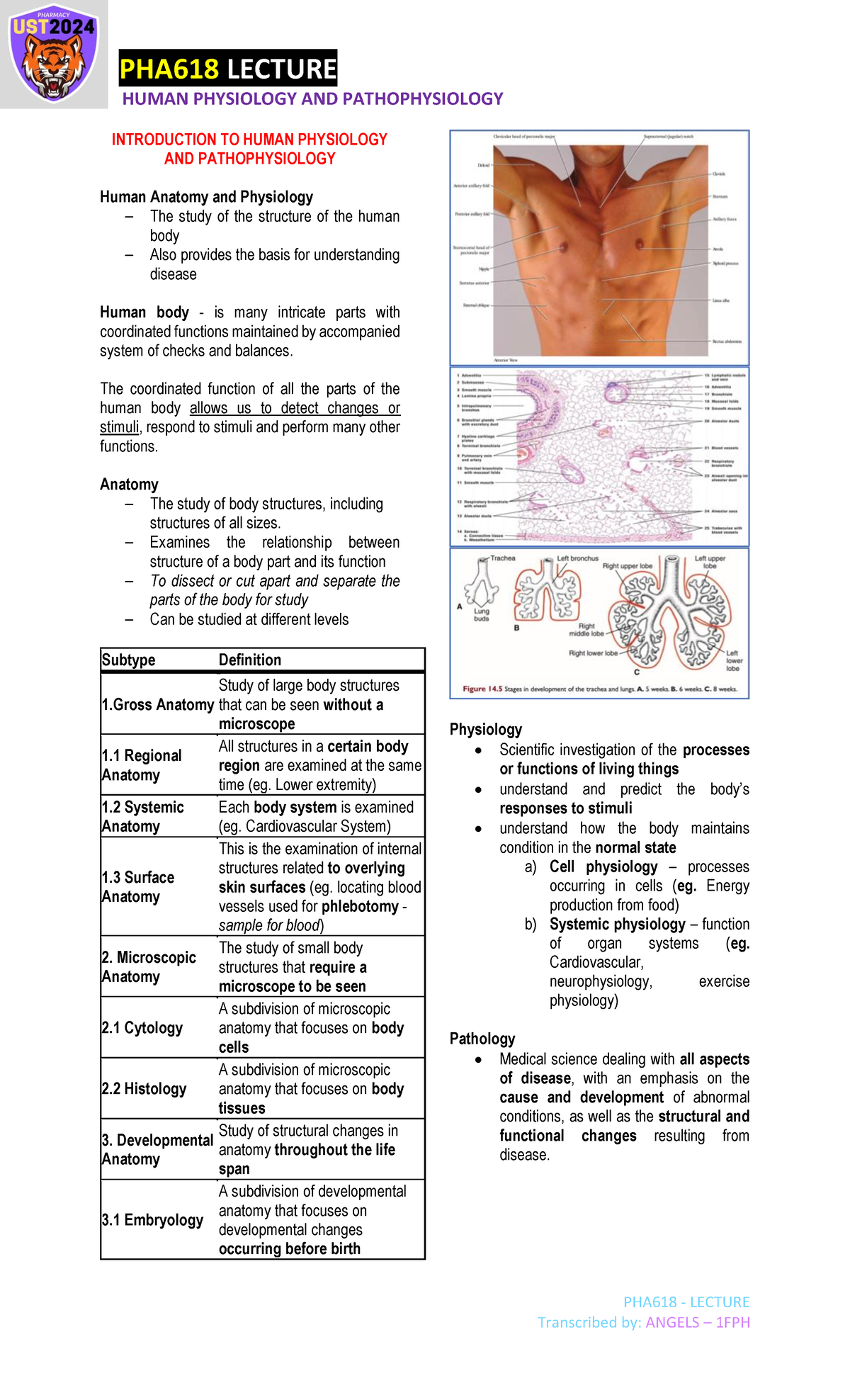 1 Intro TO Anaphy - Lecture notes for human physiology and ...