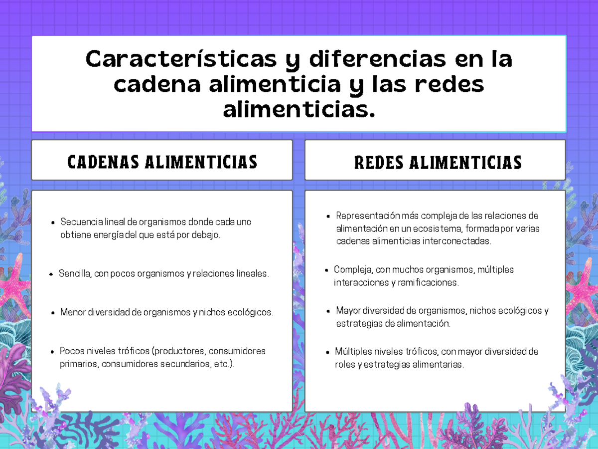 Organizador Gráfico: Comparativa entre Cadenas y Redes Alimenticias ...