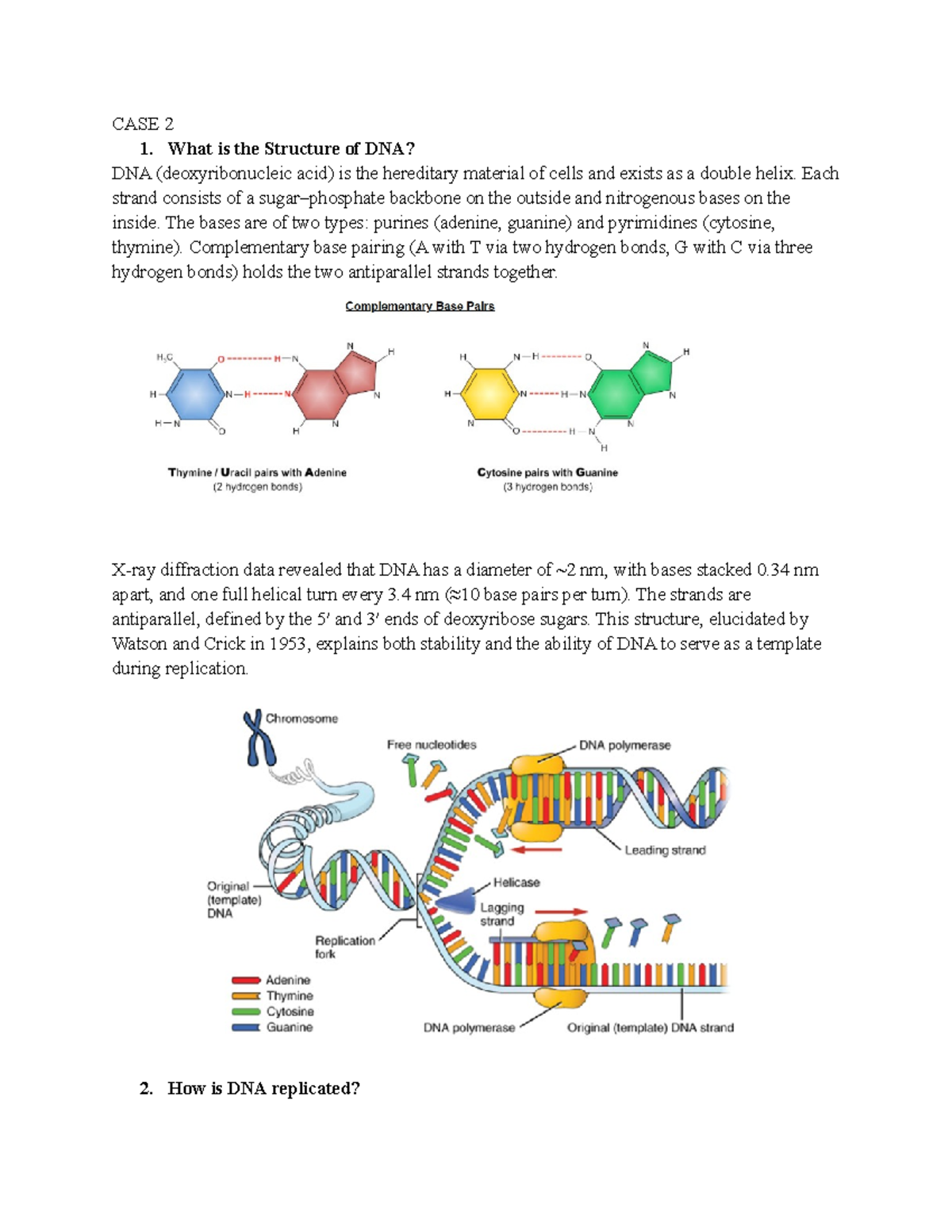 Case Study 2: Structure, Replication, and Function of DNA - Studeersnel
