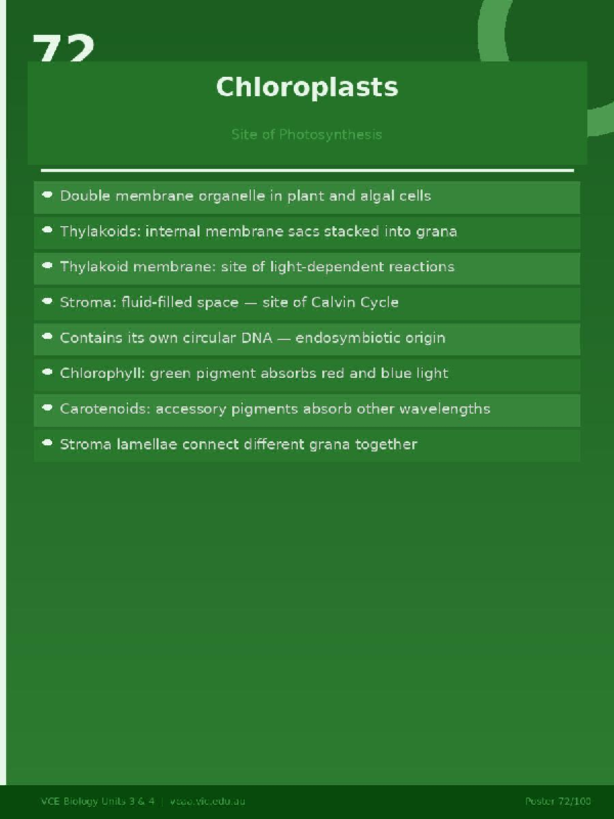 72 chloroplasts - biology unit 3/4 summary for the topic - 729 ...