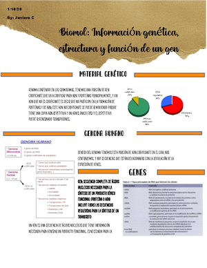 Manual Kit PCR PV92 Bio Rad - Explorador de biotecnología™ Cromosoma 16 ...