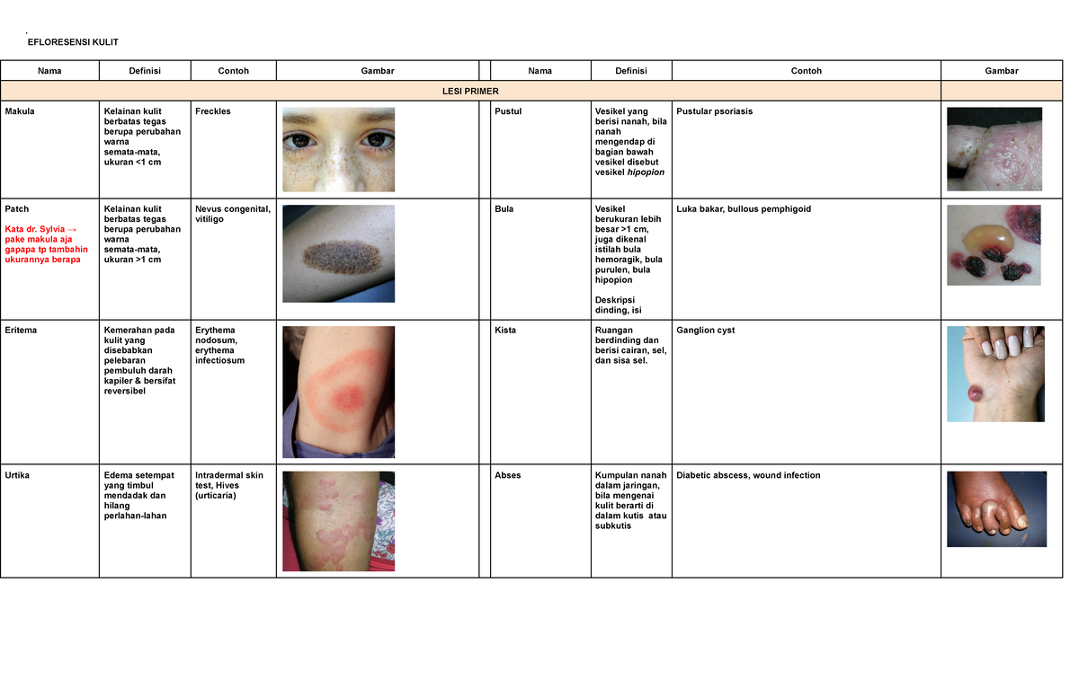 Lesi Primer dan Sekunder dalam Efloresensi Kulit - Studocu