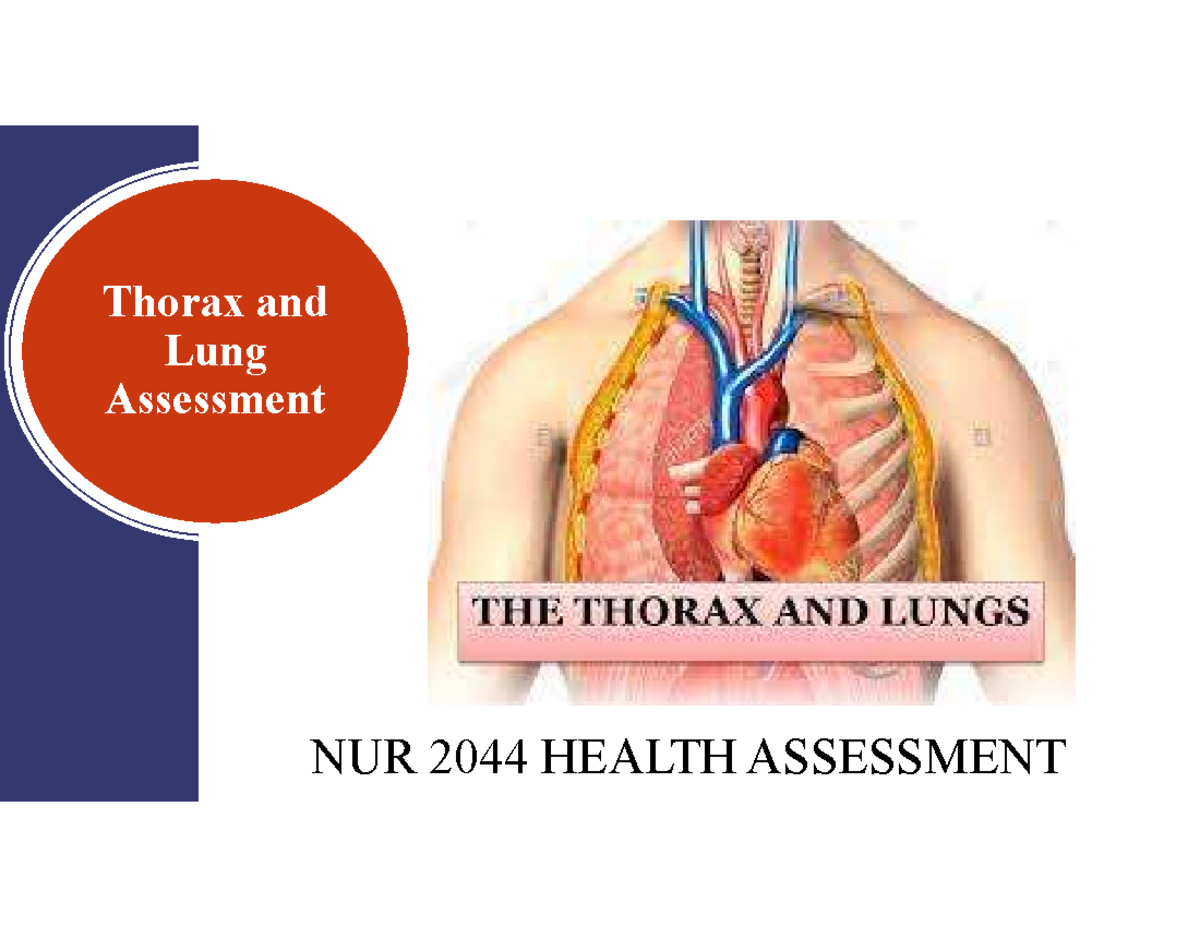 Thorax and Lung Assessment Notes for NUR 2044 Health Assessment - Studocu