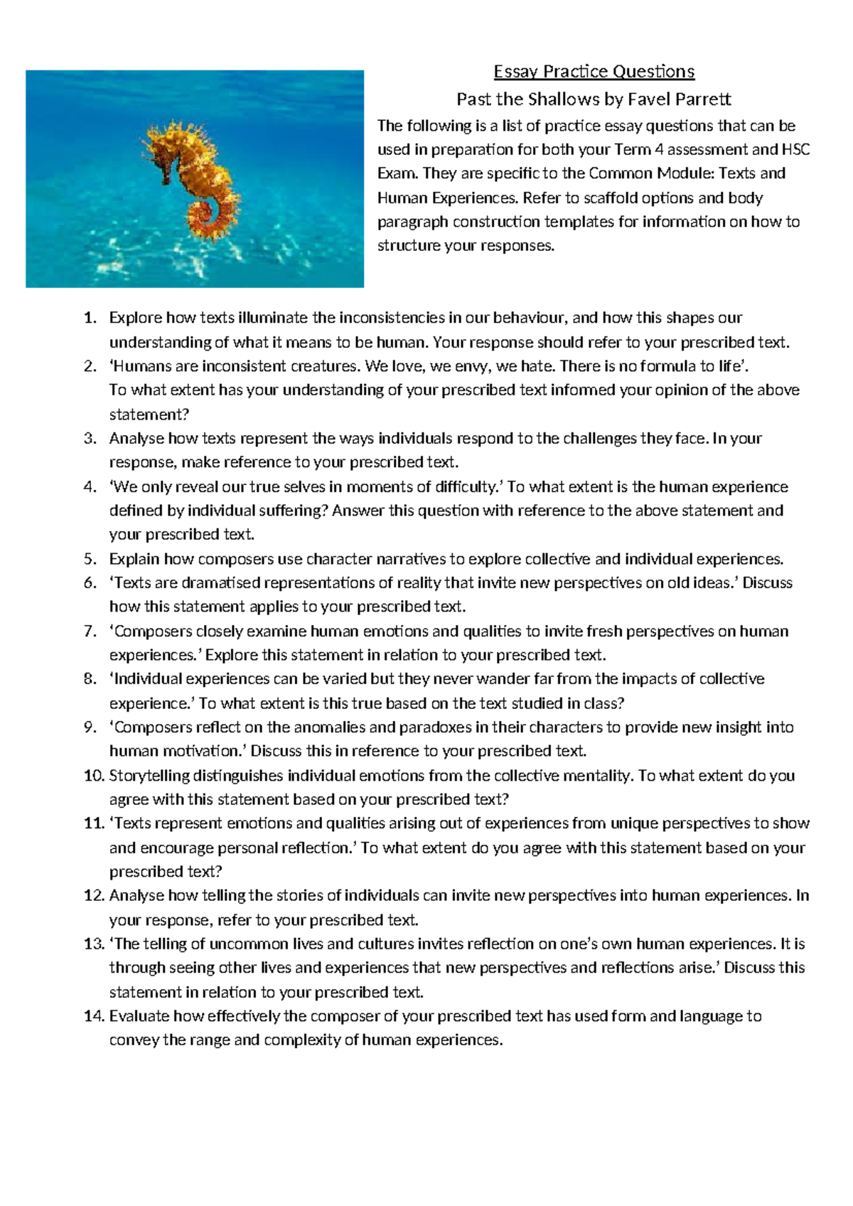 HSC Essay Practice Questions: Common Module - Texts and Human ...