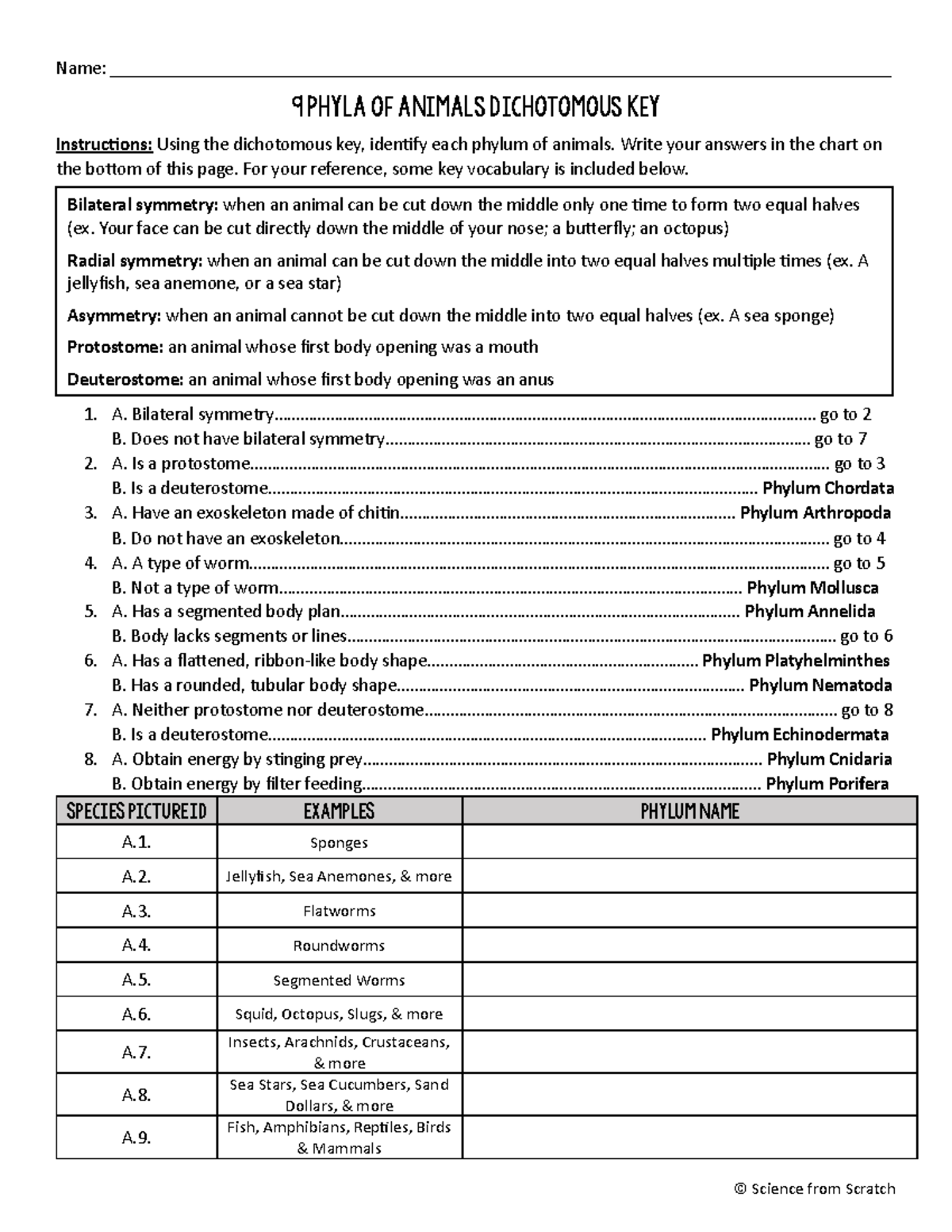 Animal Phyla Lab: Dichotomous Key for Identifying 9 Animal Phyla - Studocu