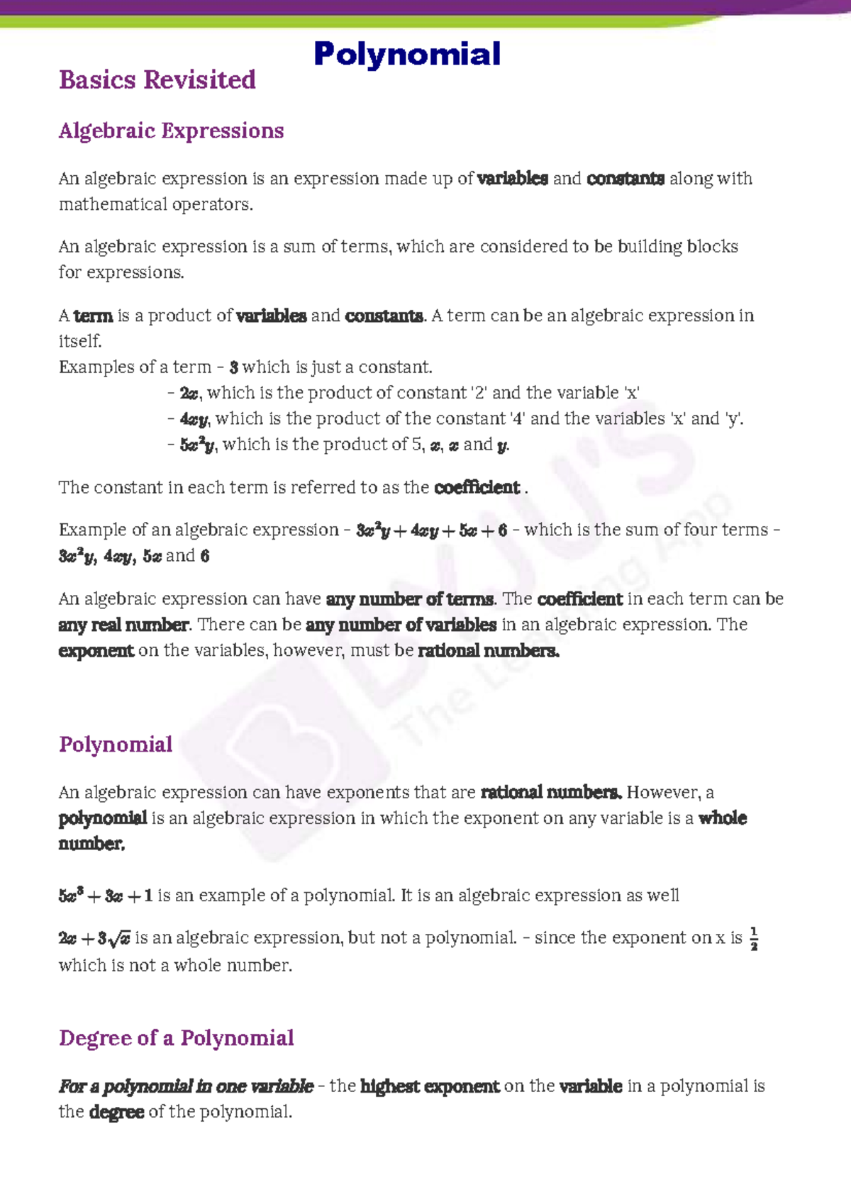 Polynomial Basics for Class 10: Algebraic Expressions Explained - Studocu