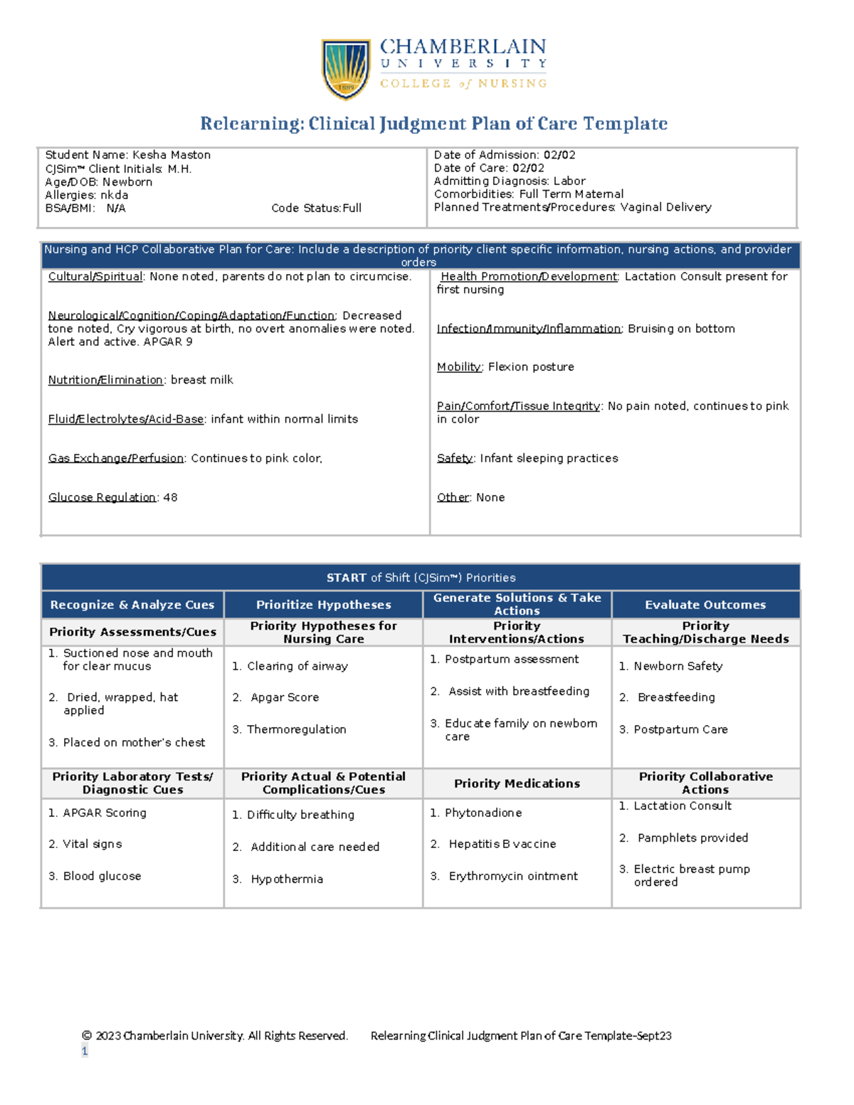 Milaja Hasam Care Plan - CJSim™ Relearning Clinical Judgment Notes ...