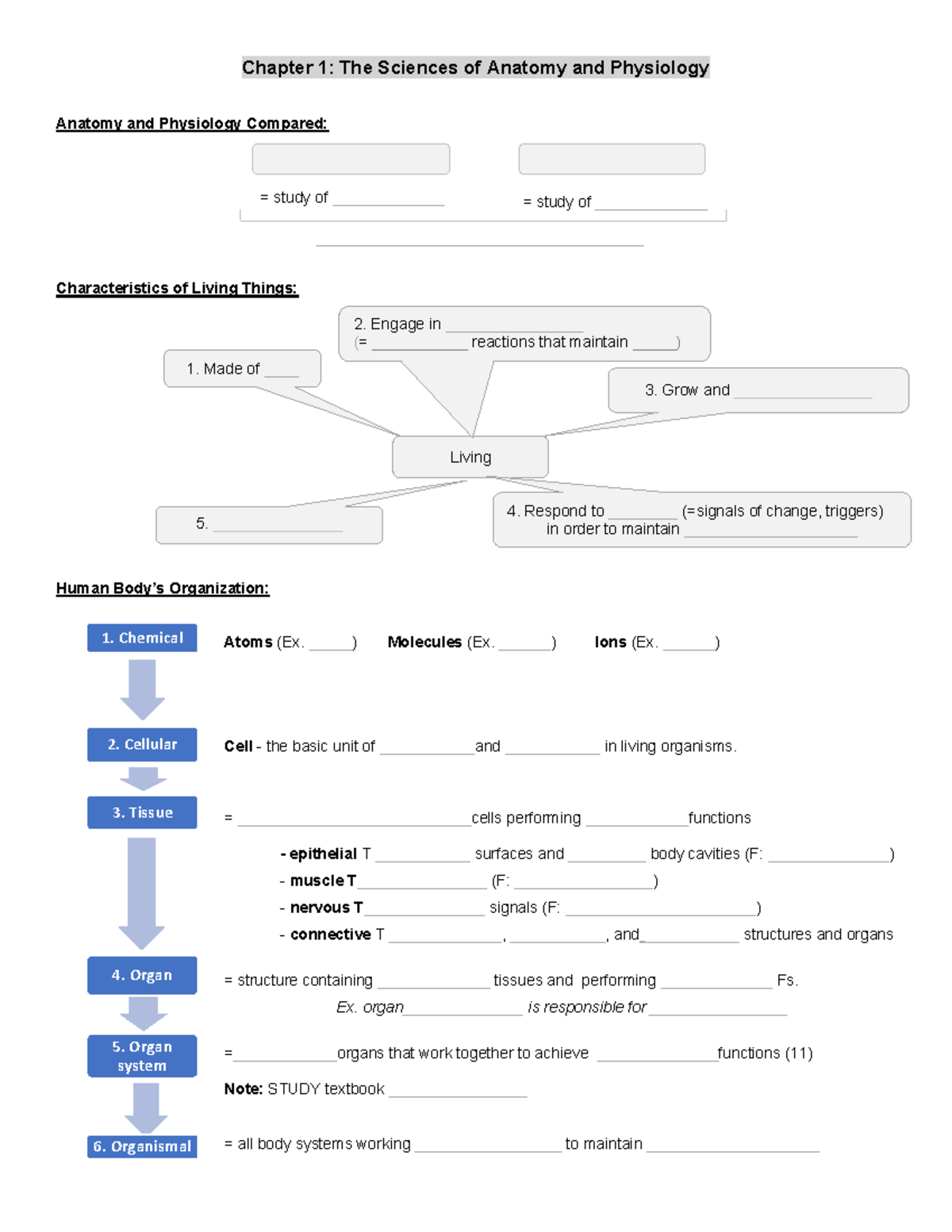Skeletal Muscle Contraction Notes for Anatomy and Physiology (AP1 ...