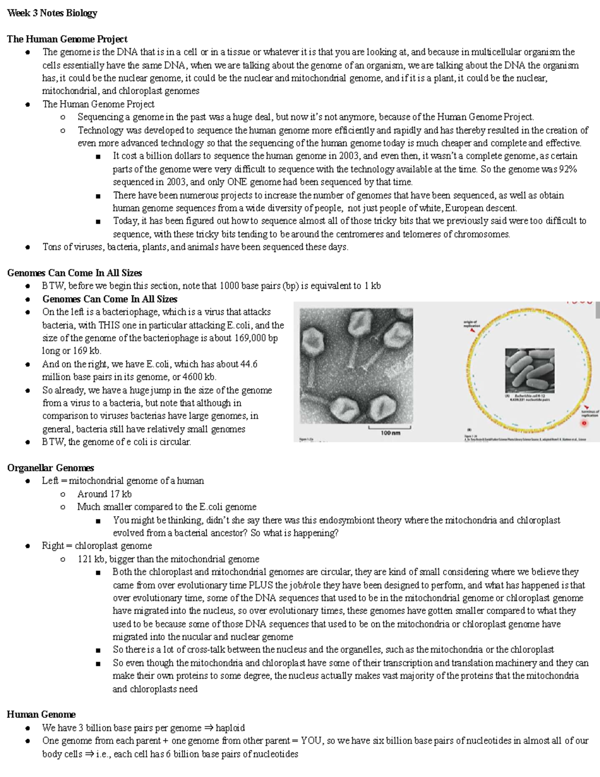 Week 3 Notes BIO130: The Human Genome Project and DNA Structure - Studocu