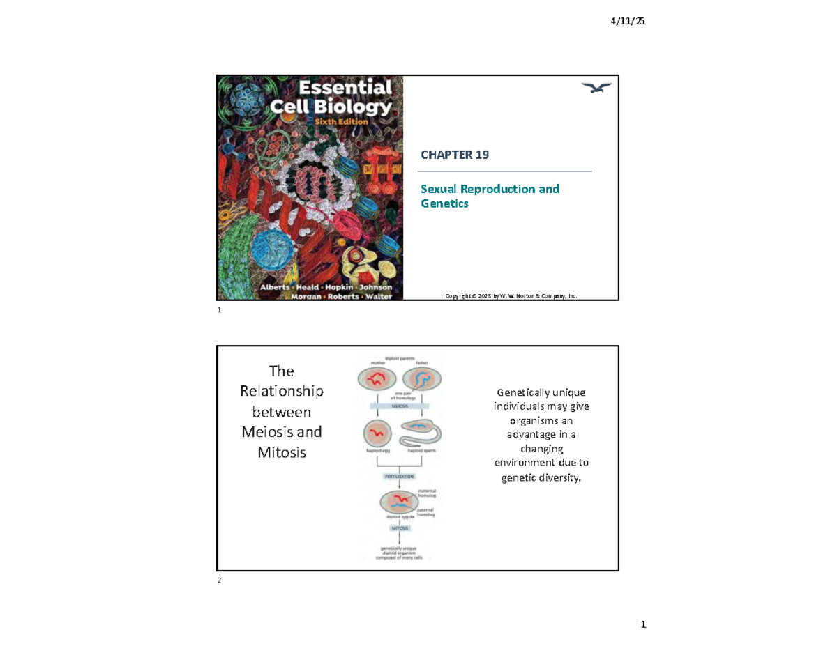 Genetics and Meiosis: Key Concepts from Chapter 19 (Biology 101 ...
