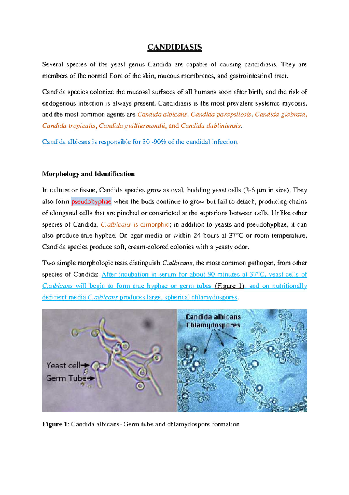 Candidiasis Overview and Clinical Implications - Lecture Notes - Studocu