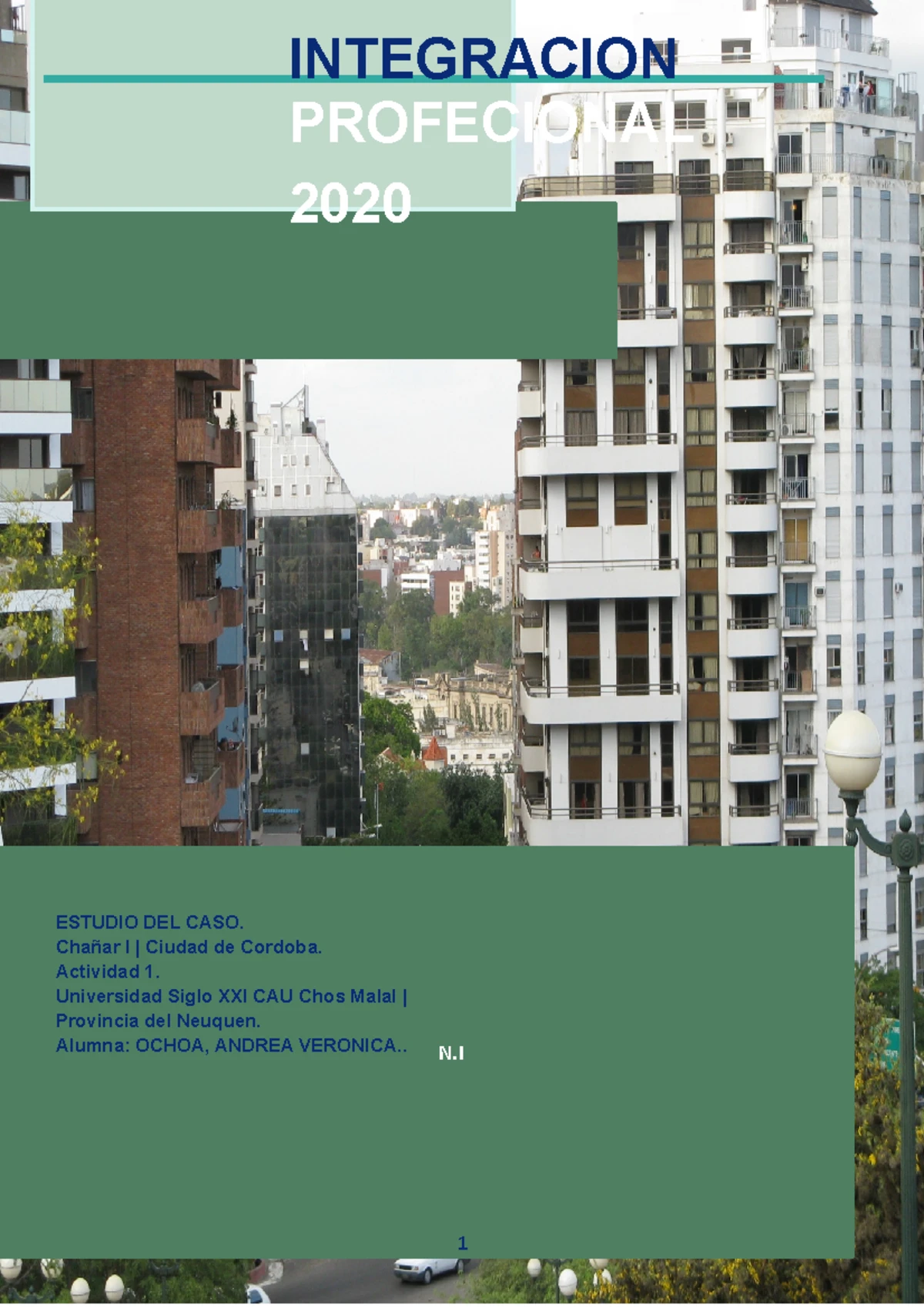 TP Final Integracion - .- INTEGRACIÓN PROFESIONAL ESTUDIO DEL CASO ...