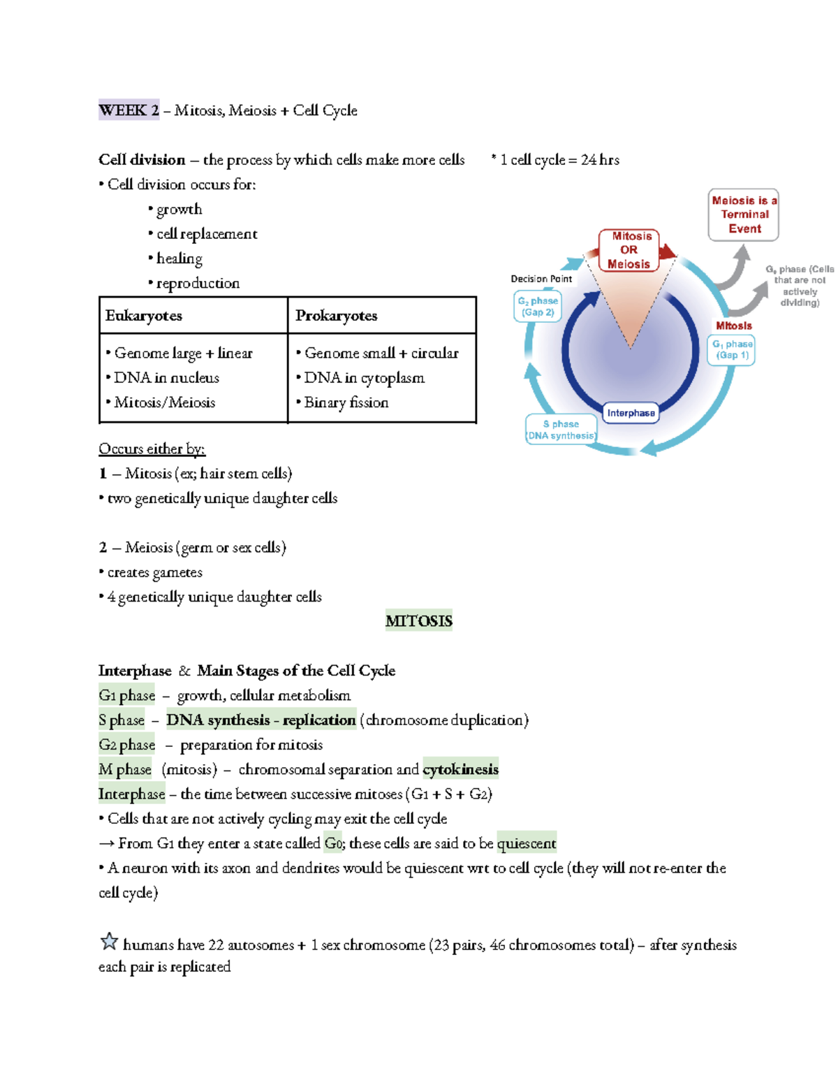 BIOL 1090 Lecture Notes: Cell Division, Genetics, and Transcription ...