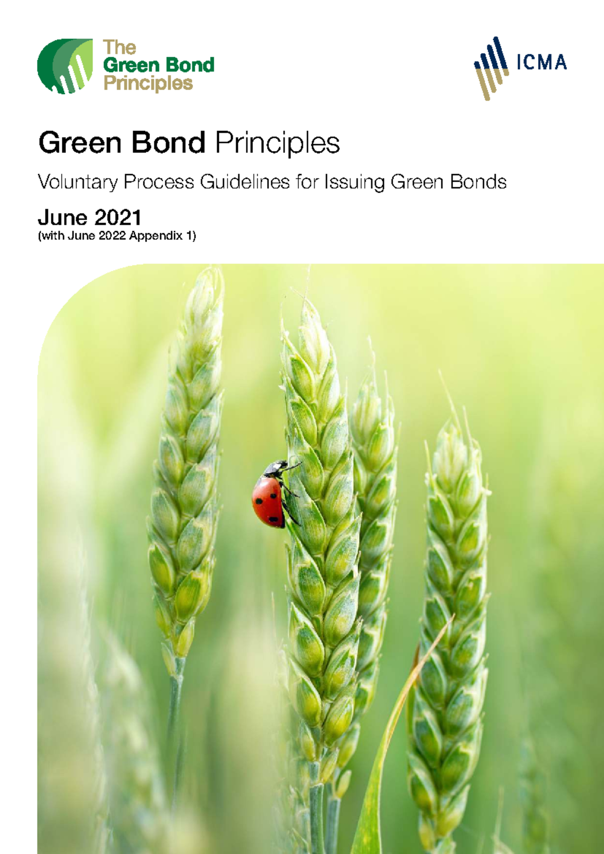 BFC F 3999 - Week 1 - Pre-Class Reading: Green Bond Principles ...
