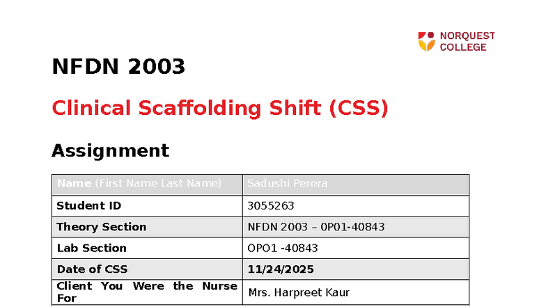 NFDN 2003 Clinical Scaffolding Shift (CSS) Reflection and Care Plan ...
