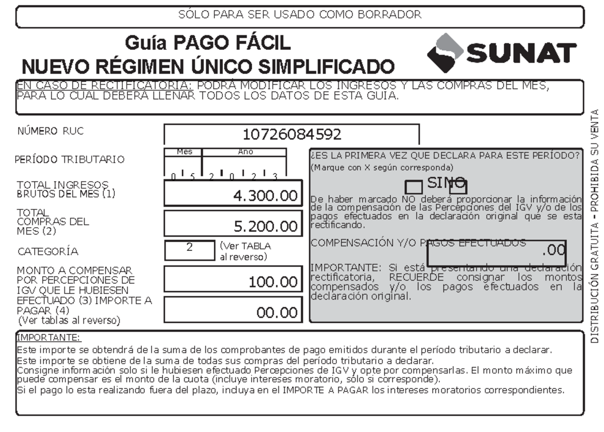 Guía de Pago Fácil RUS - F 1611: Instrucciones para Declaración ...
