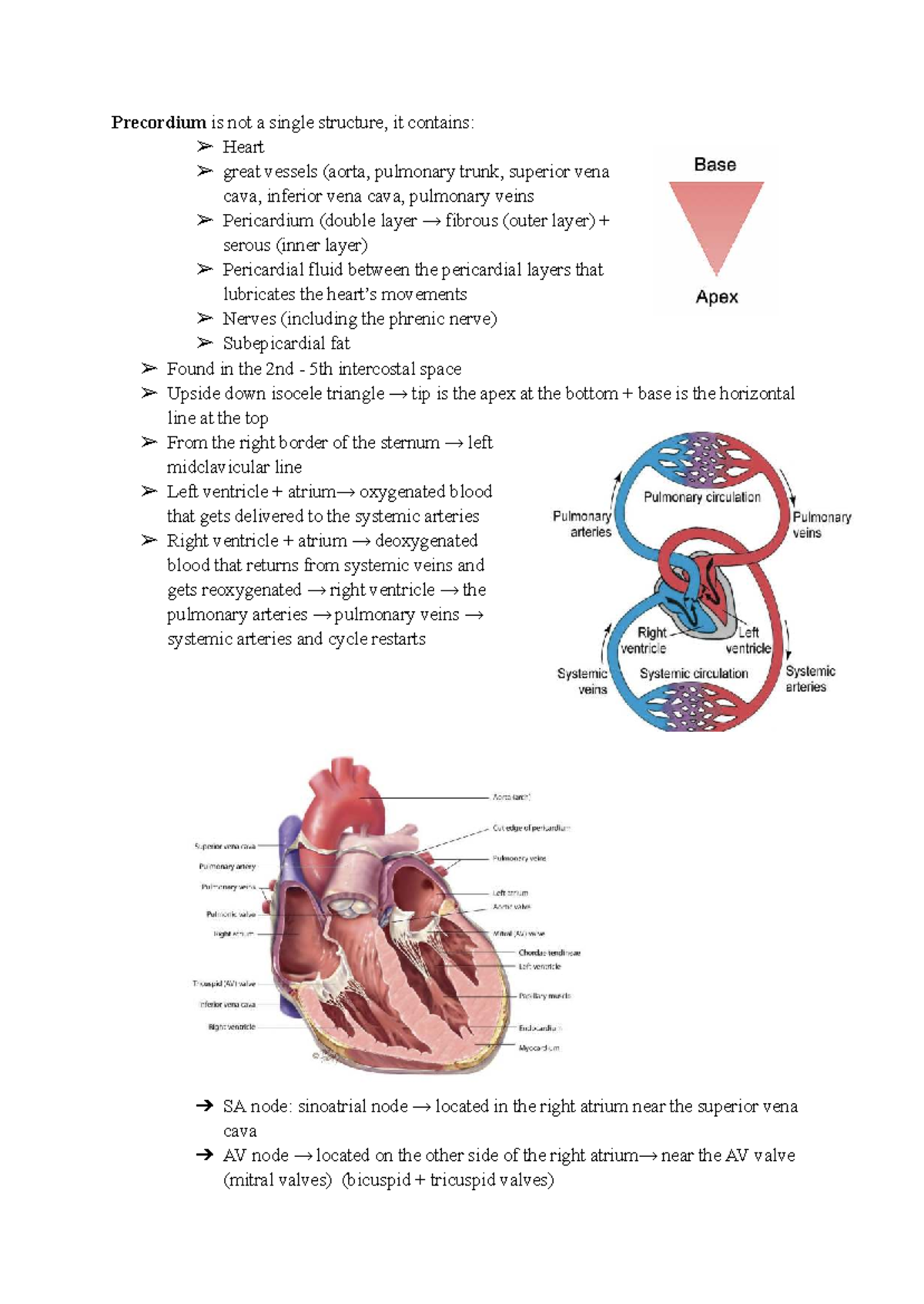 Cardiac Unit - Review of Heart Anatomy and Function - Studocu