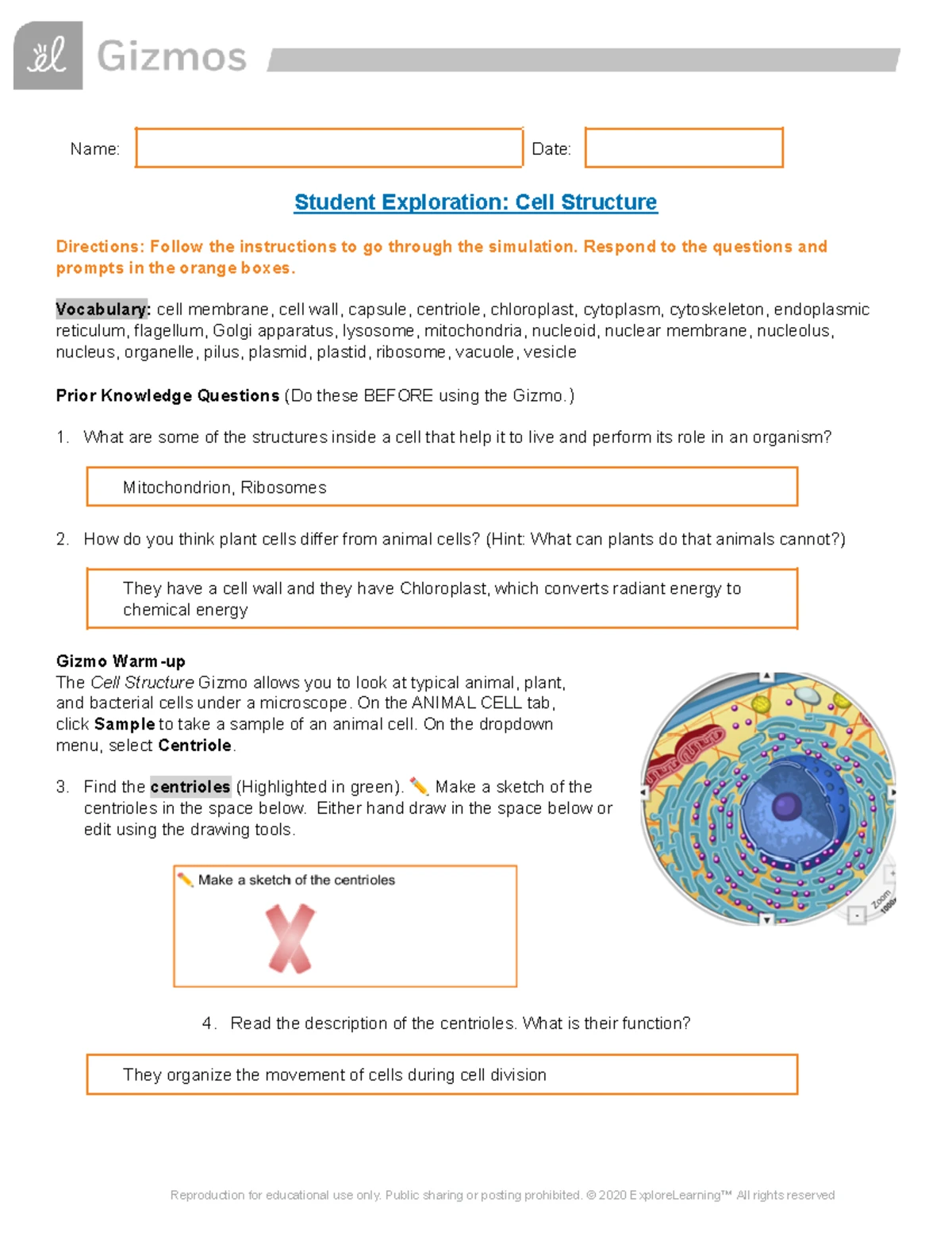 Biology Gizmo - Cell Division - What do cells need to do between ...